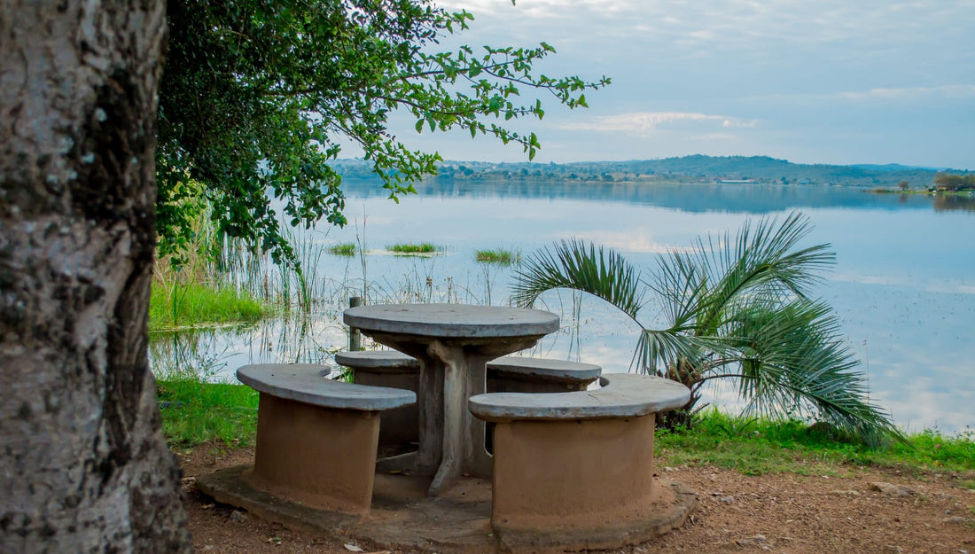 Welcome to Nandoni Damside Manor